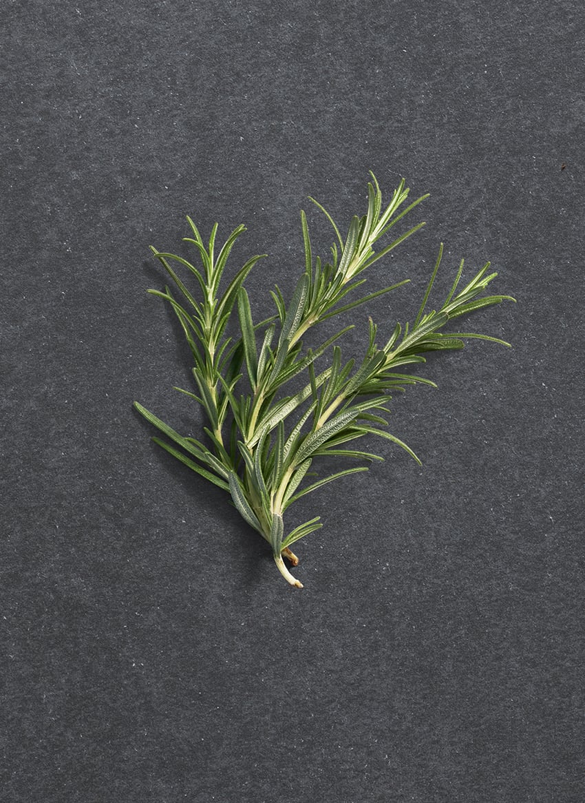 CONCENTRATE: Cooling Body Spray, Menthol – Otella